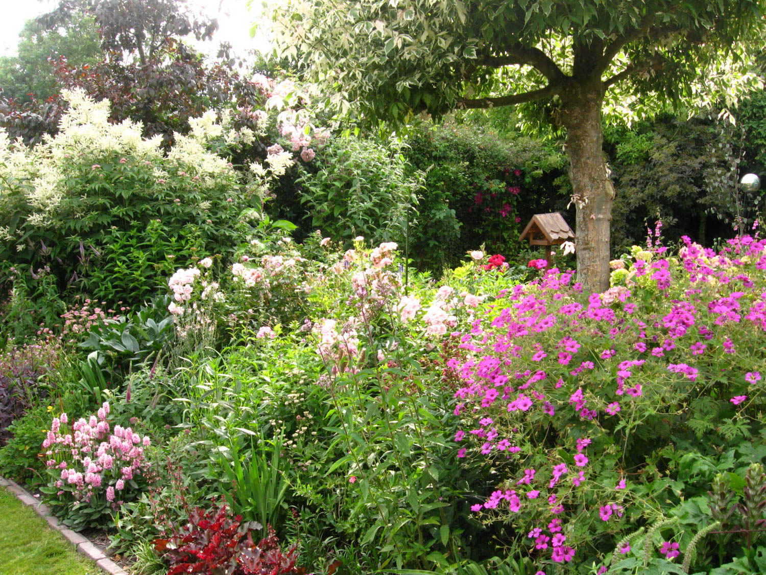 Bezoekmijntuin – De grootste open tuinen site van Nederland en België