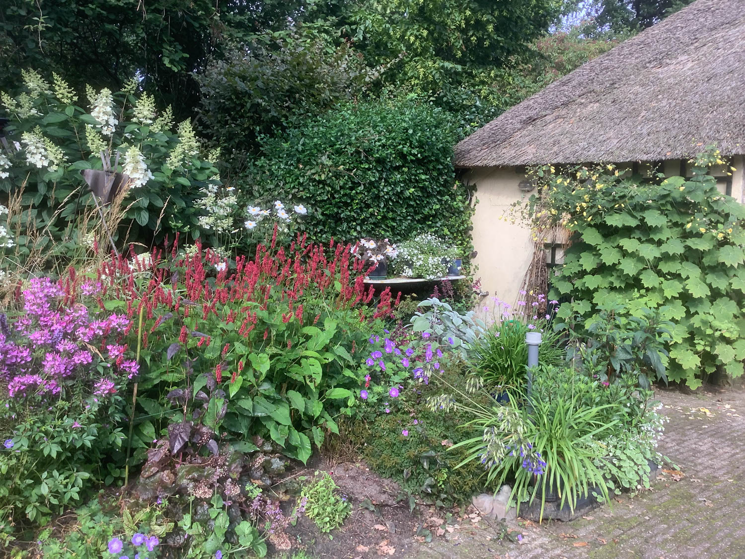 Bezoekmijntuin – De grootste open tuinen site van Nederland en België